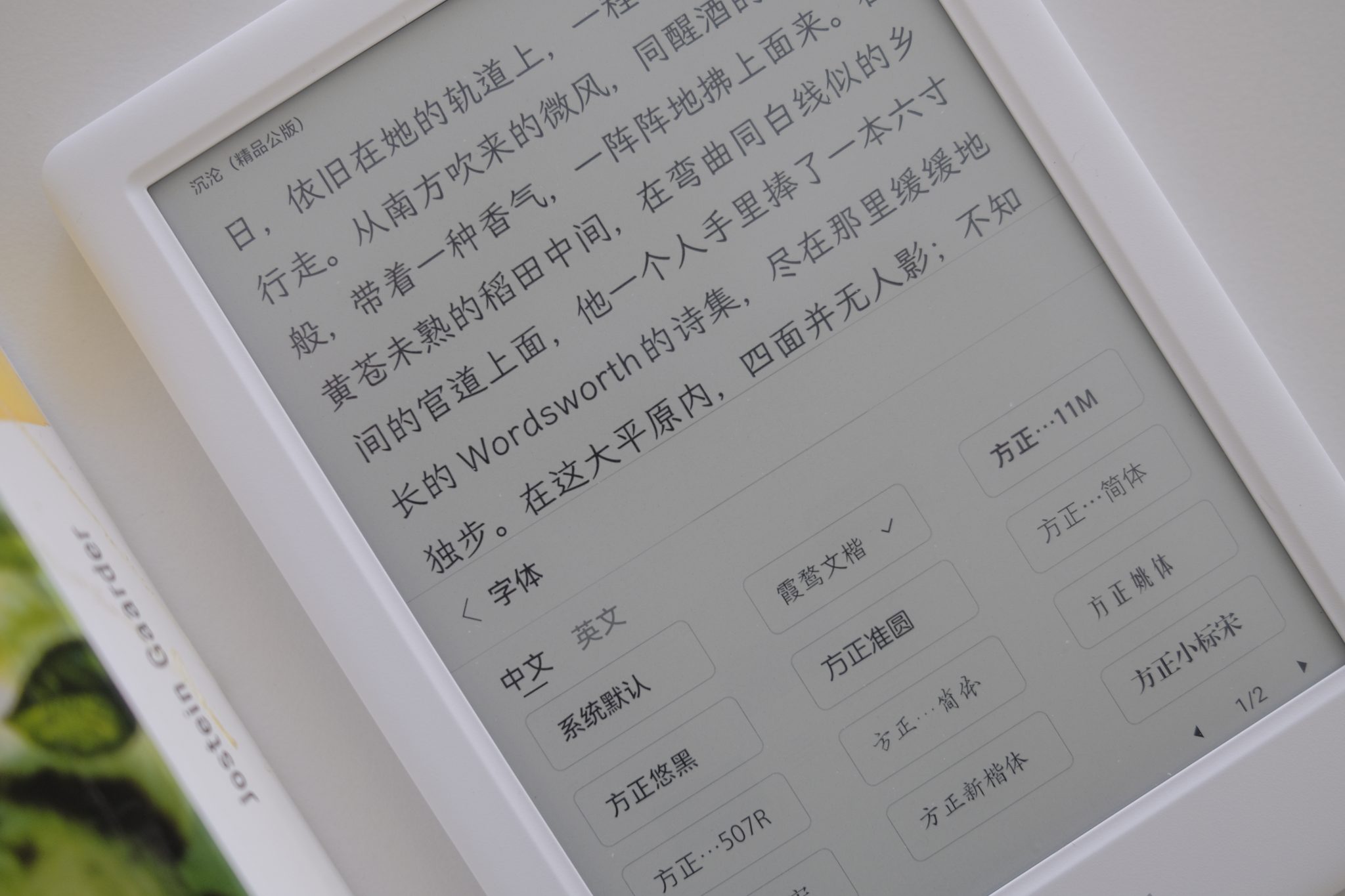 看得更清楚：掌阅Neo 2电子书体验 | Augix